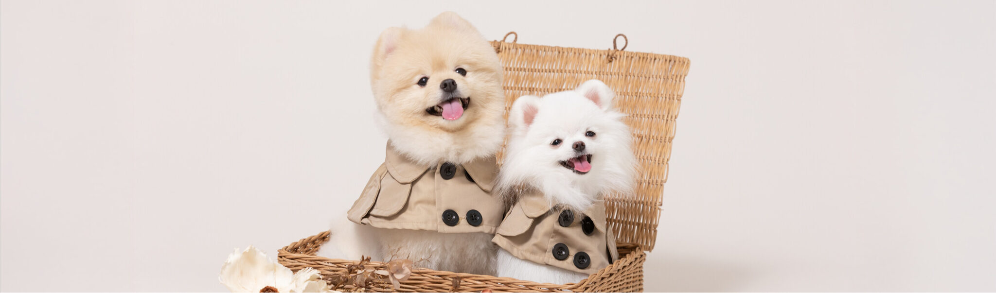 Policy | Dogram（ドッグラム）