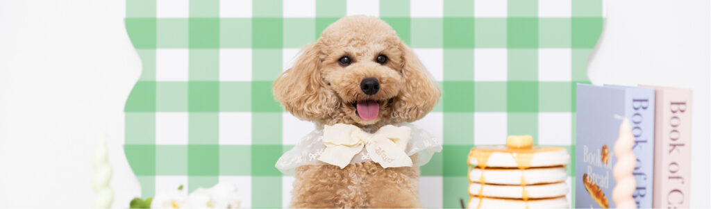 Gingham Cafe | Dogram（ドッグラム）